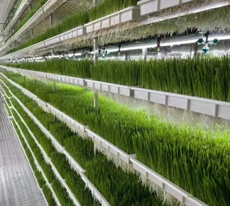 40ft Smart Farm Container Vertical Farming Hydroponic Systems Button ...