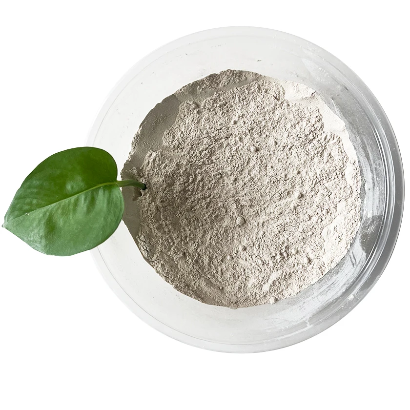 Montmorillonite Clay Bentonite Clay Smectite Powder China ...