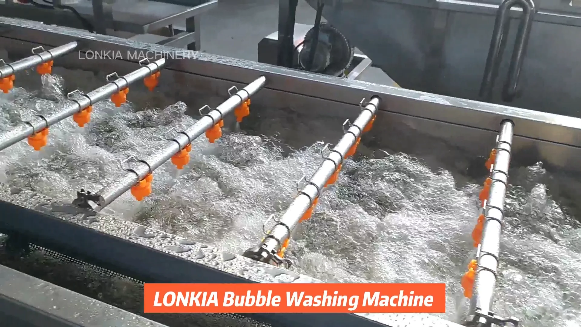 Lonkia Ozone Hash Tomato Mango Washer Potato Carrot Cleaning Fruit And Vegetable Air Bubble ...