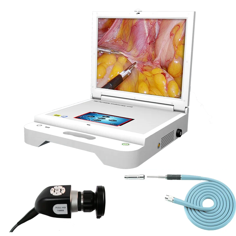 SHREK Factory Manufacturing Hysteroscope Portable HD Endoscope Camera ...