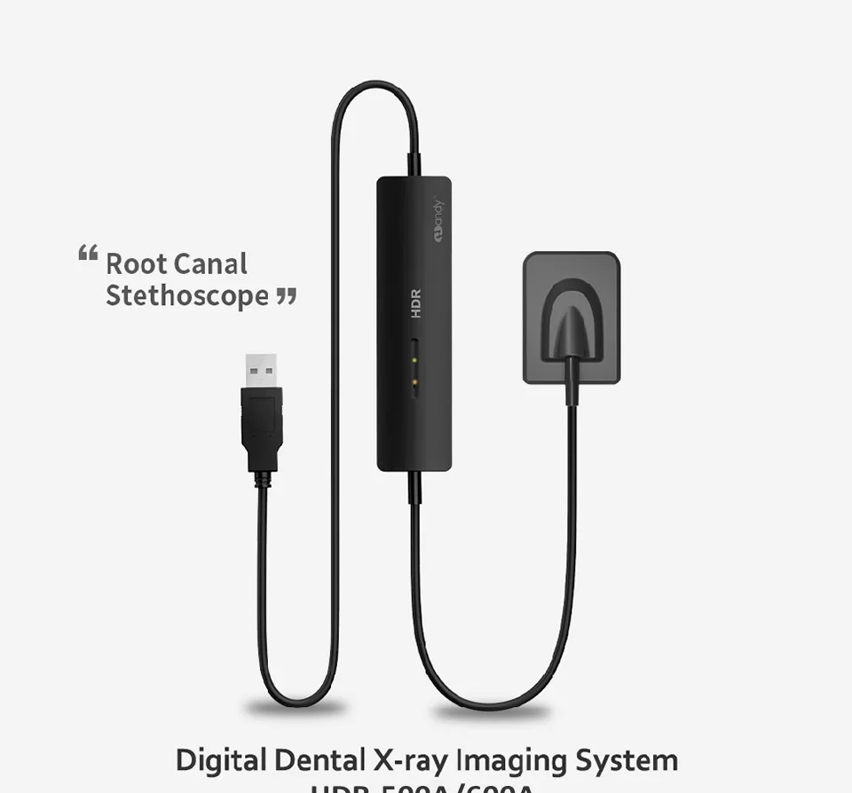 Dental Digital Intra Oral Xray Imaging System Direct USB X-Ray Sensors ...