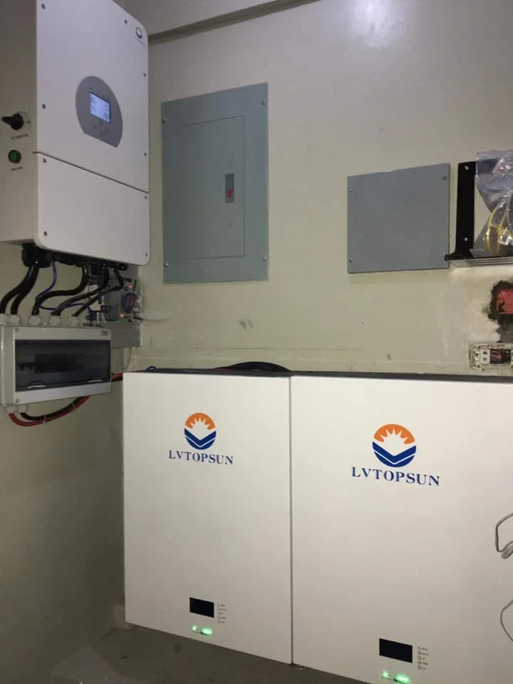 Lvtopsun Energy High Power 5kwh Powerwall Battery 48 100ah Lifepo4 ...