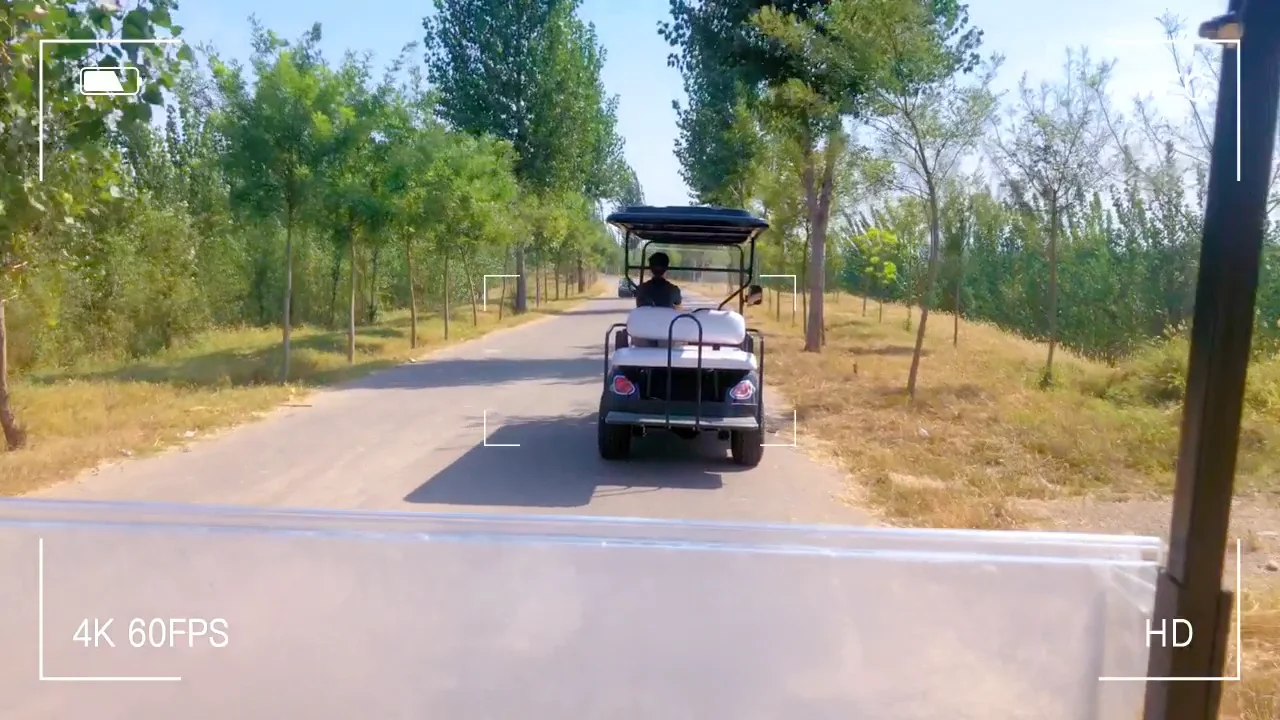 Chinese Mini 4 Seater Electric Golf Carts Cheap Prices Buggy Car For ...