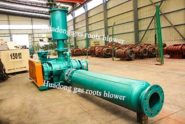 Blower For Transport Biogas Carbon Dioxide Natural Gas High Temperature ...