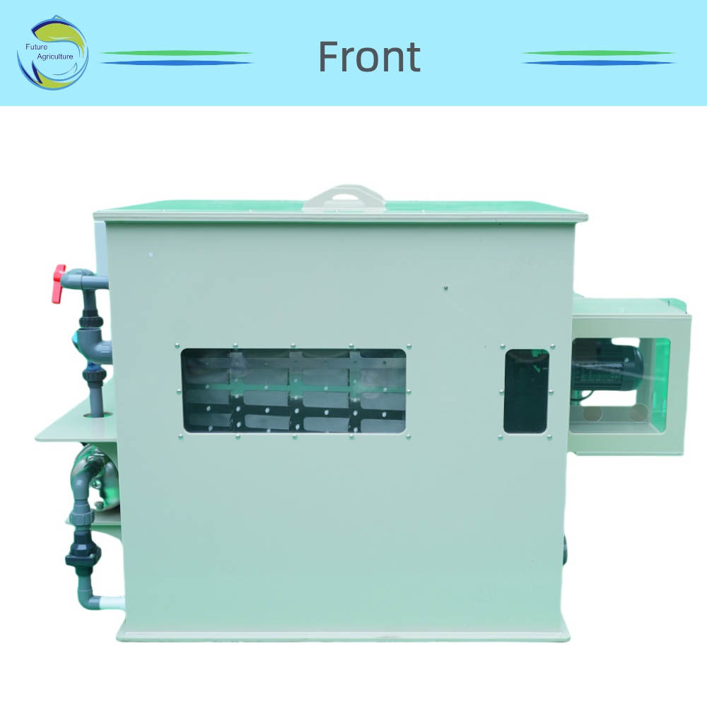 Aquaponic Shrimp Fish Farming - Efficient RAS System