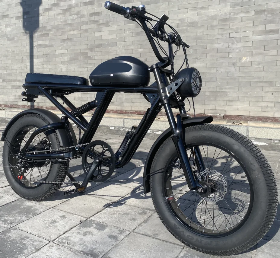 New Fat Tire Electric Bicycle 750w 48v Electric Fat Bike 15/20ah Fat ...