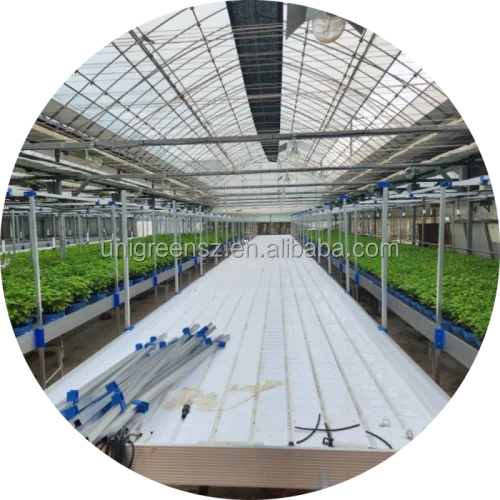 4x8 Flood Rolling Table With Vertical Poles Hang Net Led Light ...