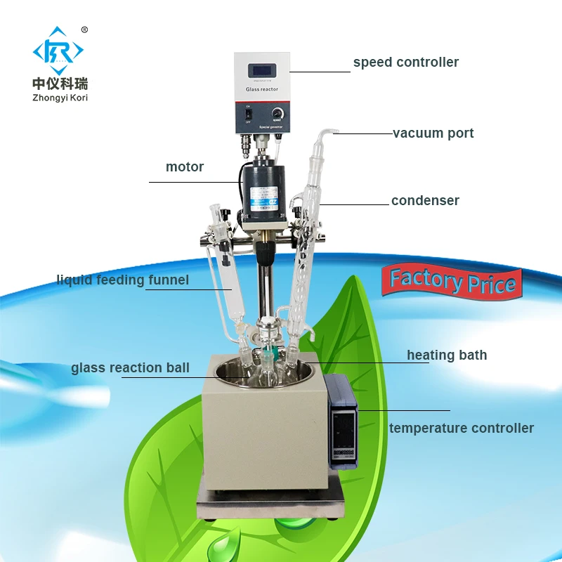 DF-2L Lab Heating Reactor - 2-Liter Glass Reactor with Motor