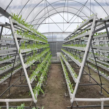 Vertical Farming Solutions Pvc Pipes Plant Aquaponics Hydroponic ...