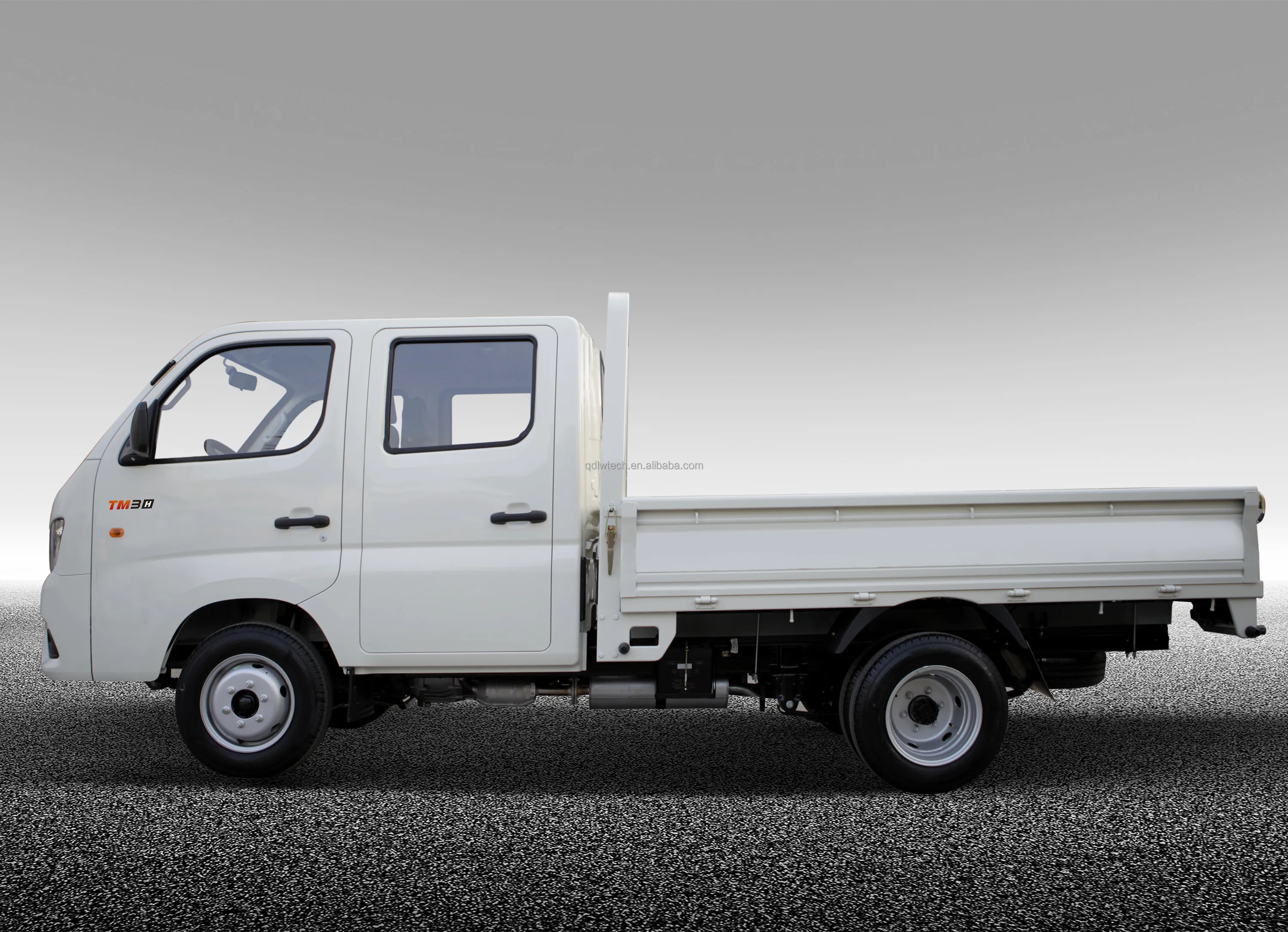 Foton TM1 TM2 Gasoline Engine - 2 Ton Load Manual Truck