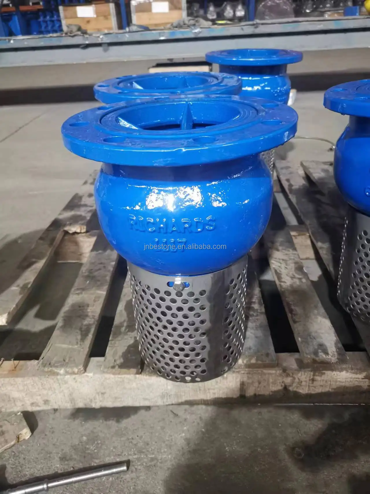 Din Astm Di Foot Valve Pn10/pn16 - Buy Ggg50 Ductile Iron Flange Bottom ...