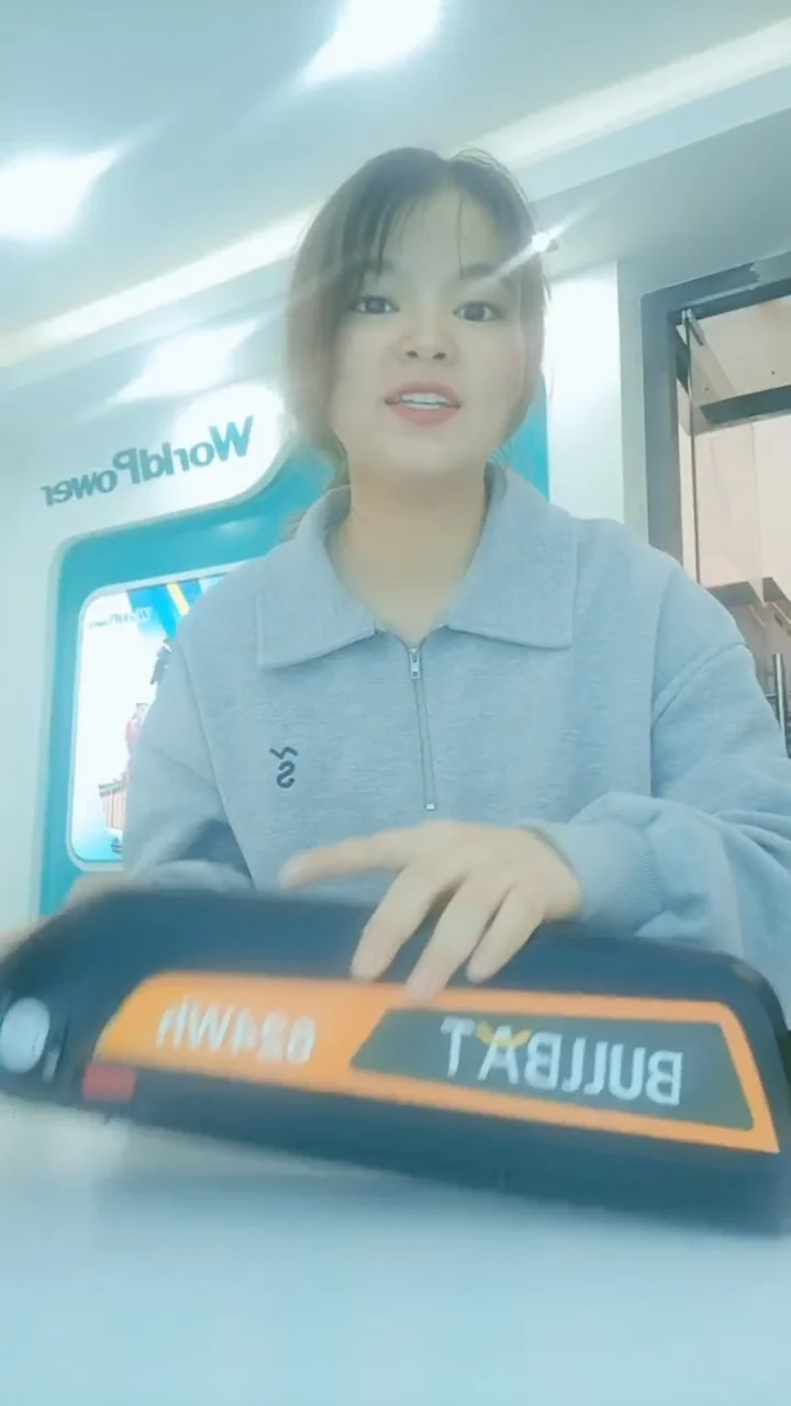 Customize Hailong 48 V 48v 16ah 20ah 1000w Lithium Ion Li-ion Ebike ...