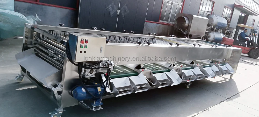 LONKIA Automatic Carrot Grading Size and Cleaning Machine