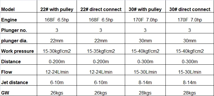 22# 22mm Plunger Pump Farm Garden Pesticide/cleaning Agricultural 170F ...