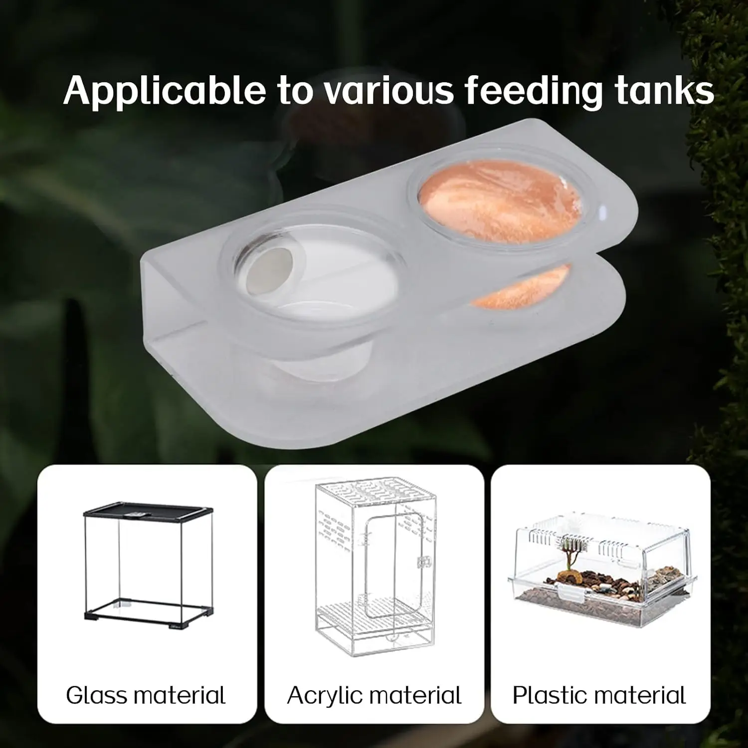 Magnetic Reptile Feeding Cup - Perfect for Geckos & Lizards