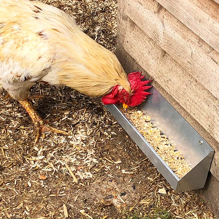 Durable Jh-Mech Feeders for Chickens - Protect Your Feed