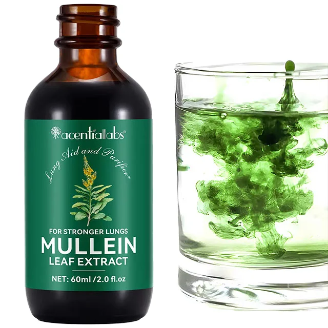 Organic Mullein Leaf Extract Drops Powerful Herbal Immune Support ...