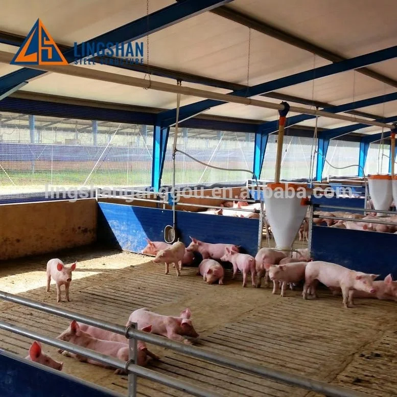 Hot Galvanizing Prefabricated Steel Structure Pig Farm House ...