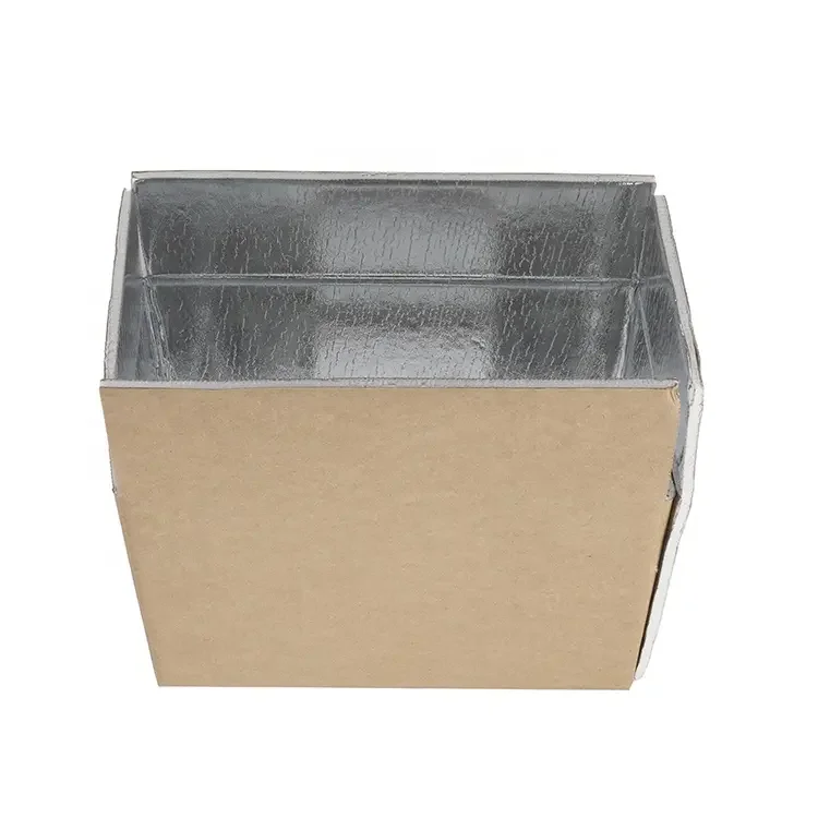 Insulated Cooler Food Carton Corrugated Aluminum Foil Fresh Delivery ...