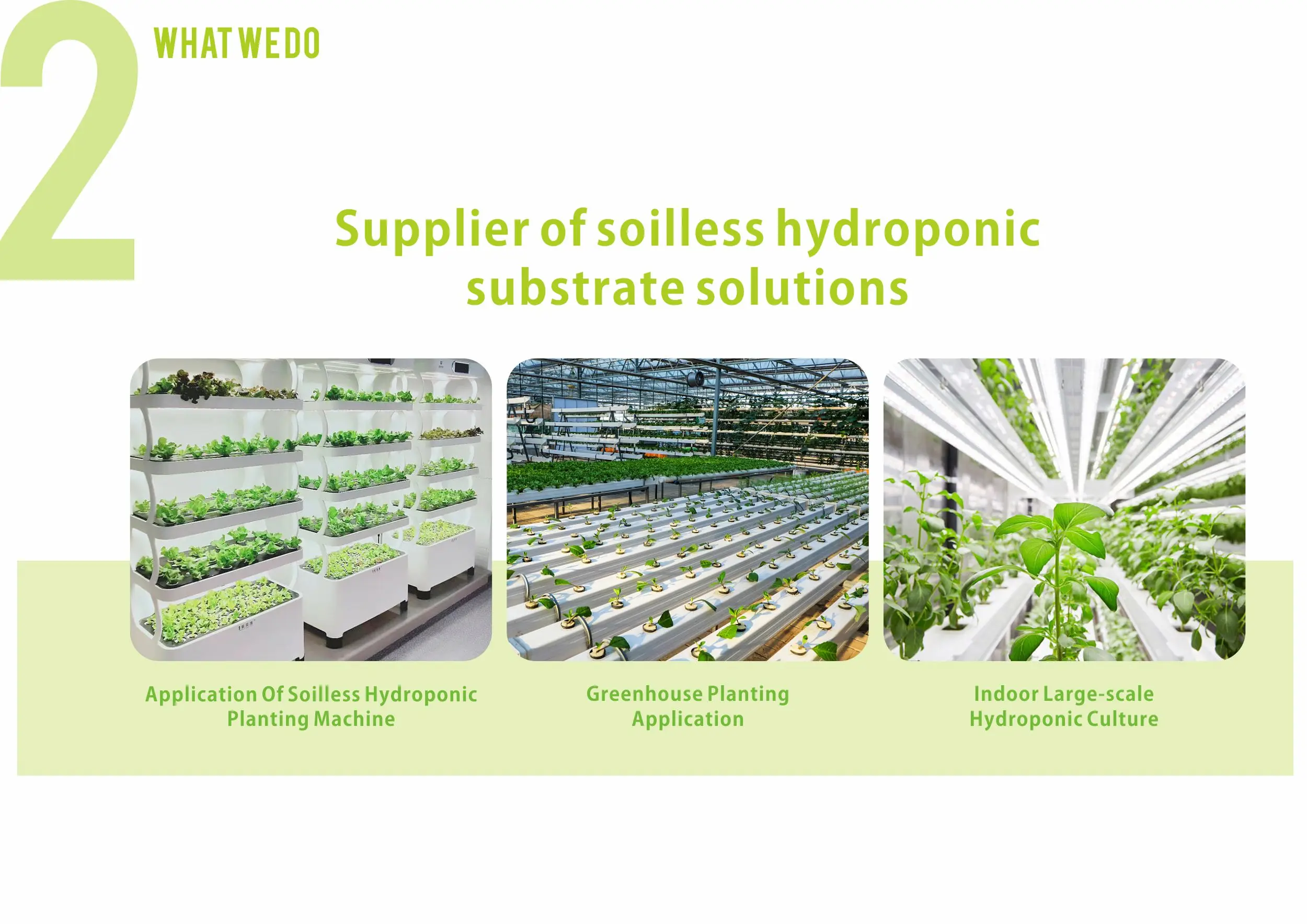 Replacement Root Growth Sponges Seed Pods Compatible With Aerogarden ...