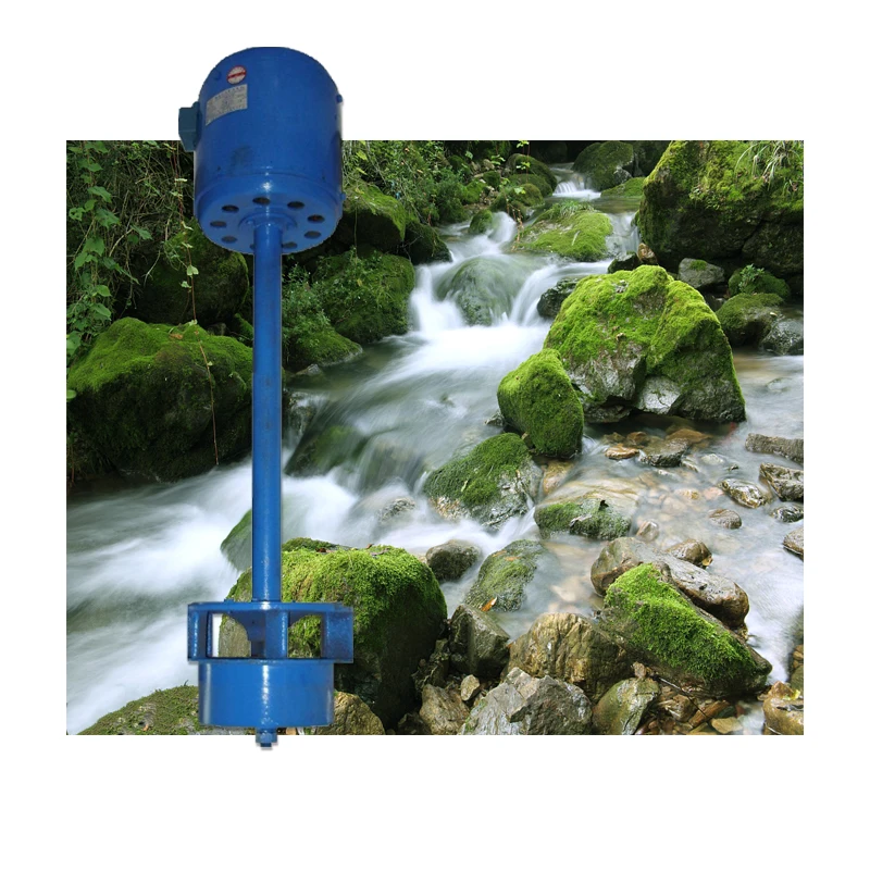 800w Water Turbine Electric Generator - Small Hydroelectric Power