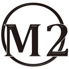 Company Overview - ShenZhen MM Display Ltd.