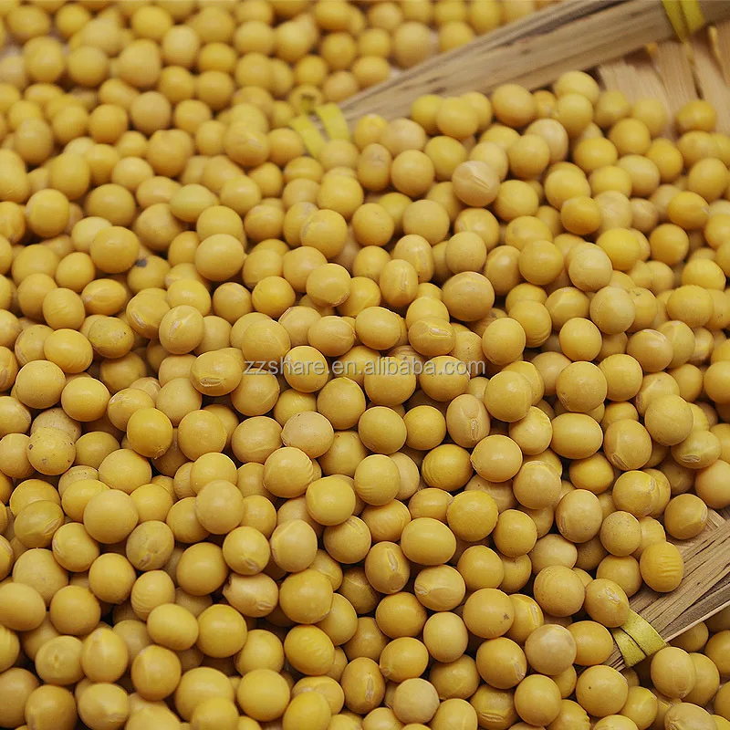 Rotary Spiral Gravity Soybean Sorting And Winnowing Grain Wheat ...