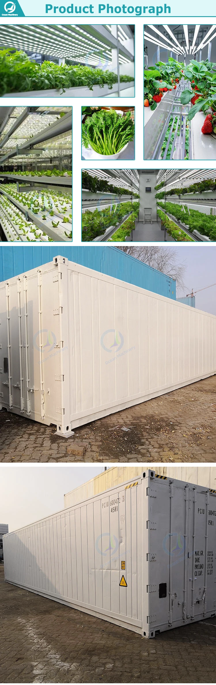 Intelligent Control Hydroponic Shipping Container Greenhouse Vertical ...