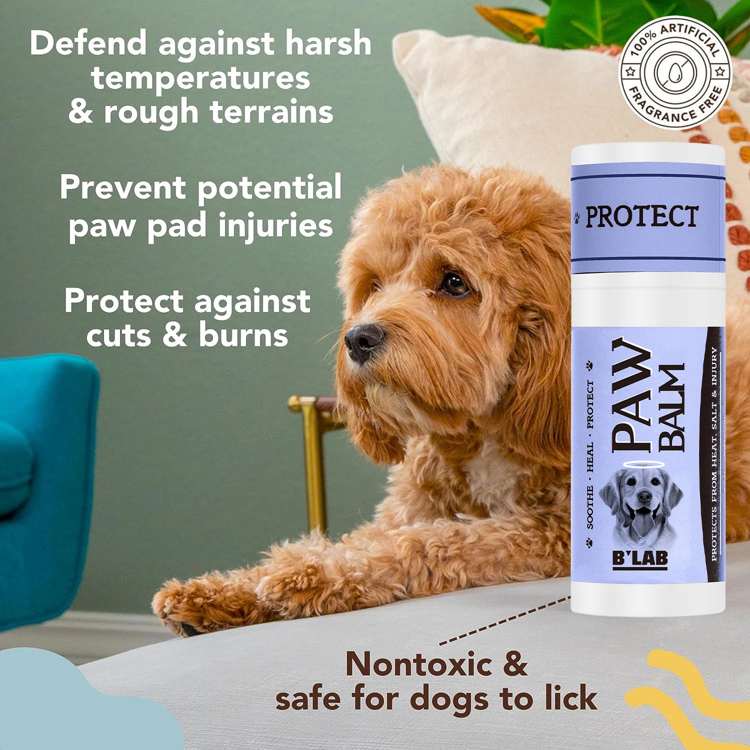 Pet Paw Care Set Pet Paw Cleaner & Balm Private Label Pet Care Foot Cleaning Foam Pet Care Paw ...