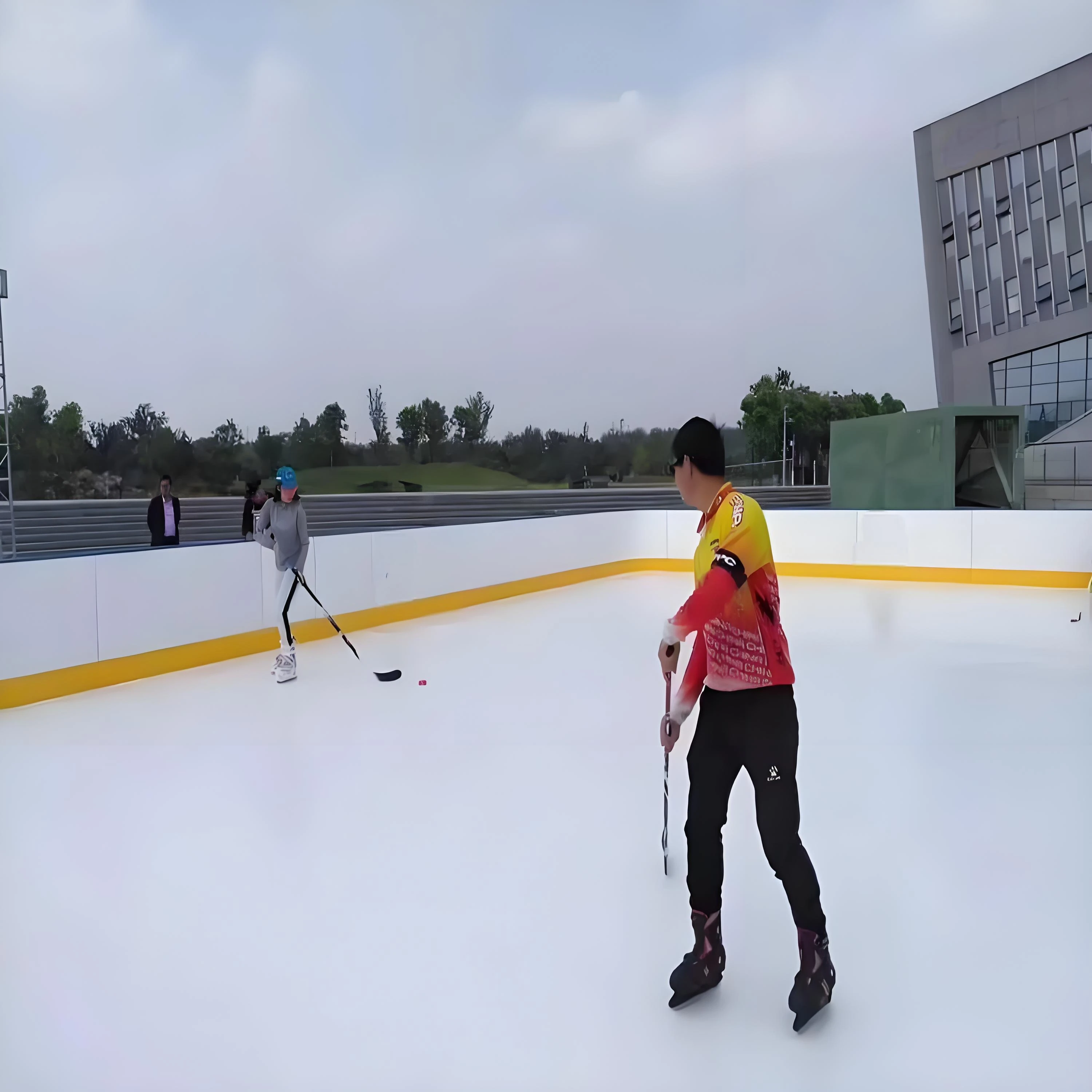 Customized Removable 8mm 10mm 15mm Thick Uhmwpe Artificial Ice Rink ...