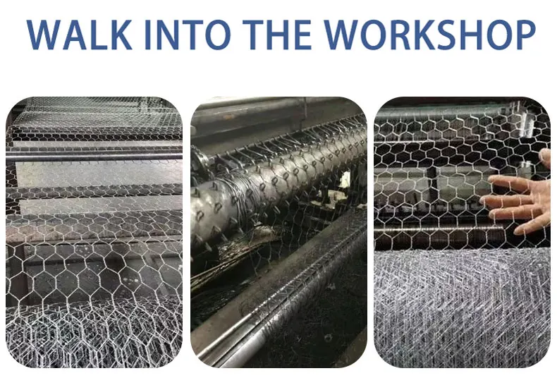 Galvanized Hexagonal Chicken Wire/ Poultry Wire Used For 3/4" Chicken ...