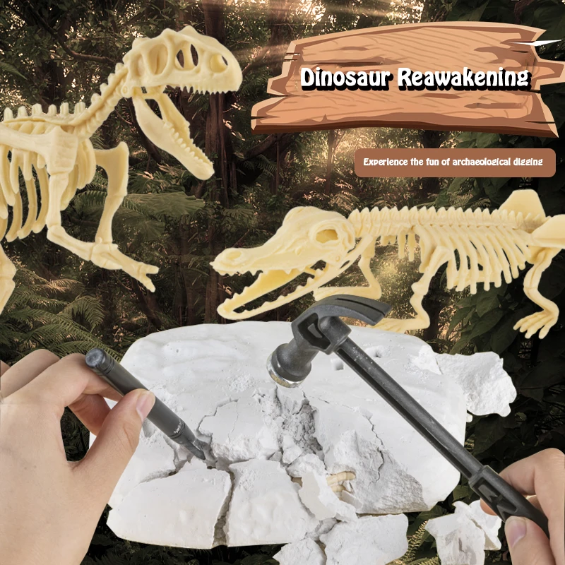 Dinosaur Dig Kit For Kids Dinosaur Fossil Bones Excavation Kit Stem ...
