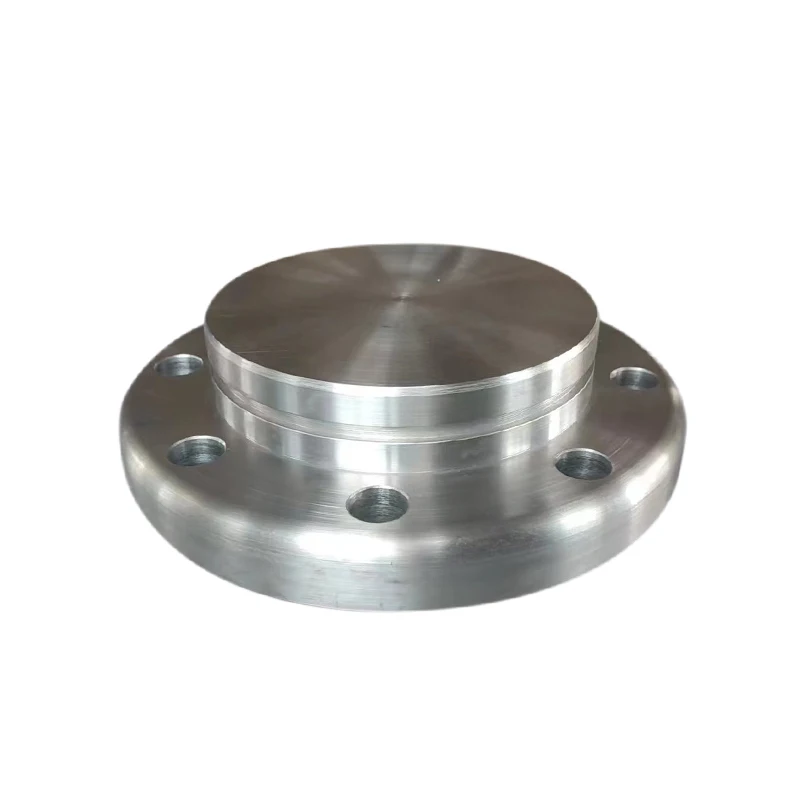 Custom Processing Durable Flange Seal Plate Pressure Test Flange Cover ...