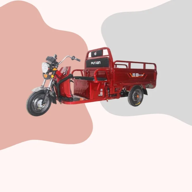 Fashion Cargo Bike 3 Wheel 250w Bicycle Frame E Truck Loader Fiet ...