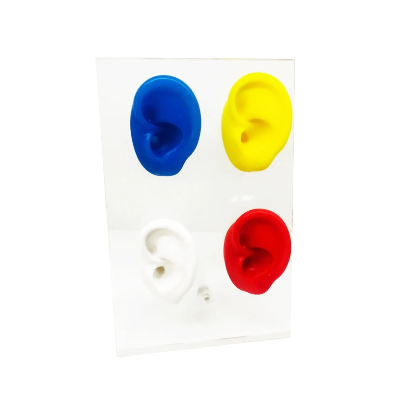 Acrylic Ear Display with Four Silicone Ears for Digital Hearing Aids ...