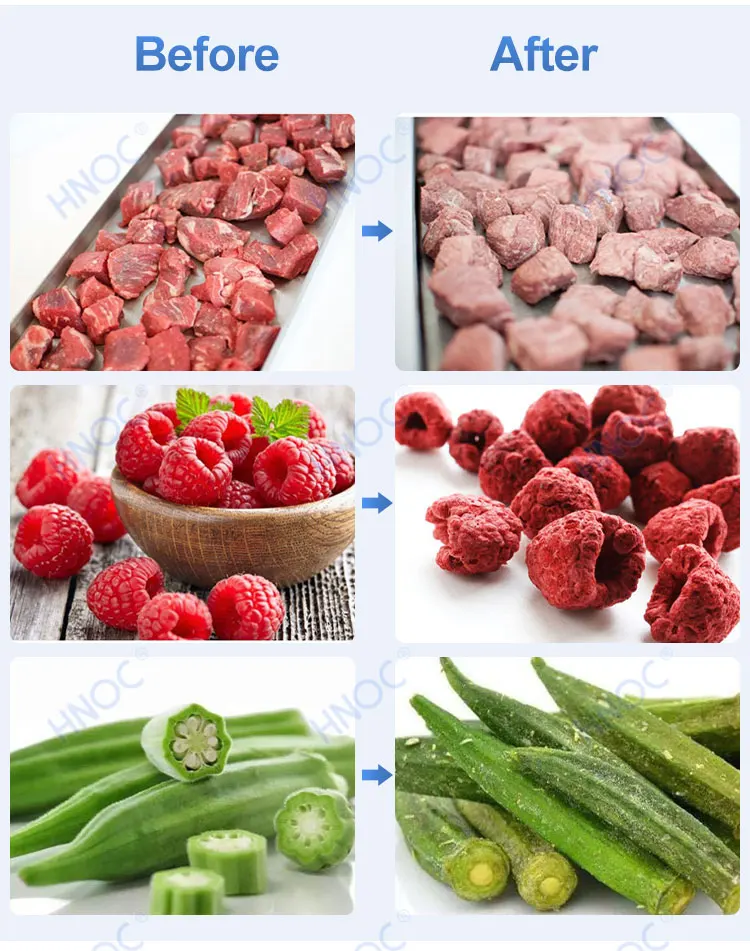 Industrial Lyophilization Machine - Efficient Freeze Drying