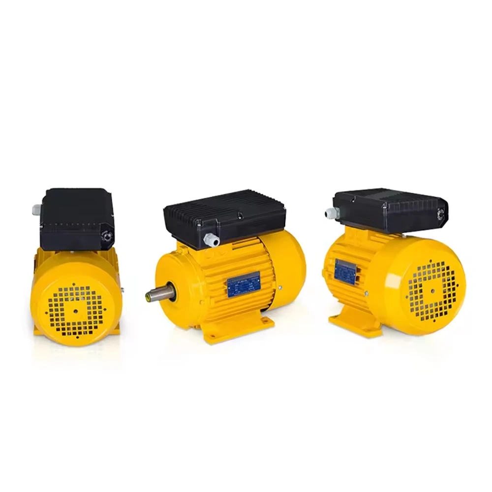 Myl Series Industrial Single Phase Induction 0.75kw Asynchronous Small ...