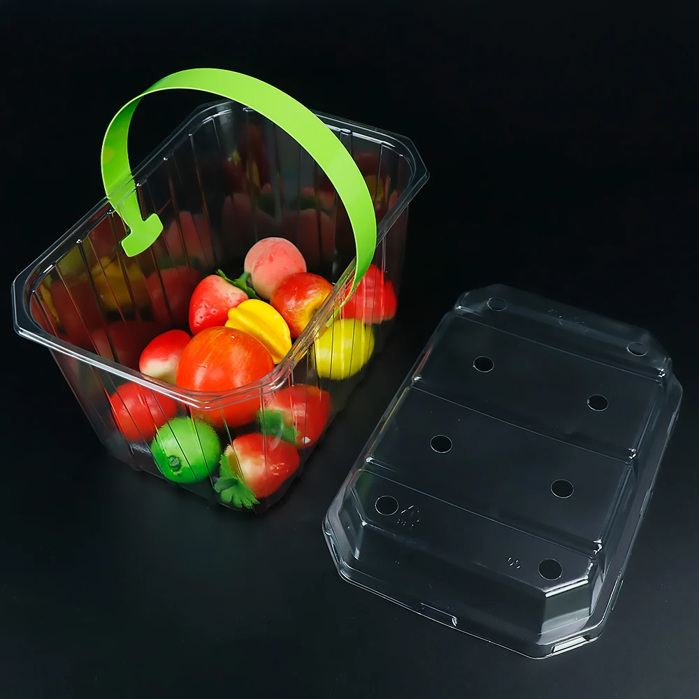 Custom Transparent Plastic Fruit Container with Handle , Clear Portable ...