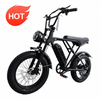 Company Overview - SMART RIDE TECHNOLOGY LIMITED