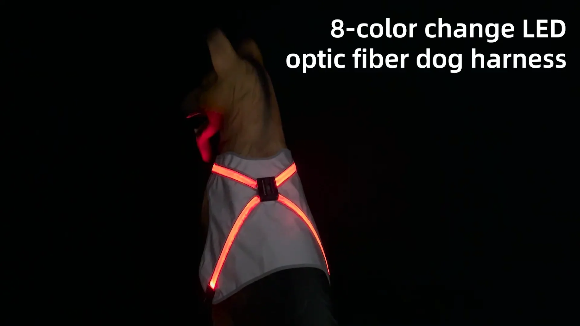 Factory Wholesale Price 2023 Year New Led Dog Harness Dog Cloth For ...