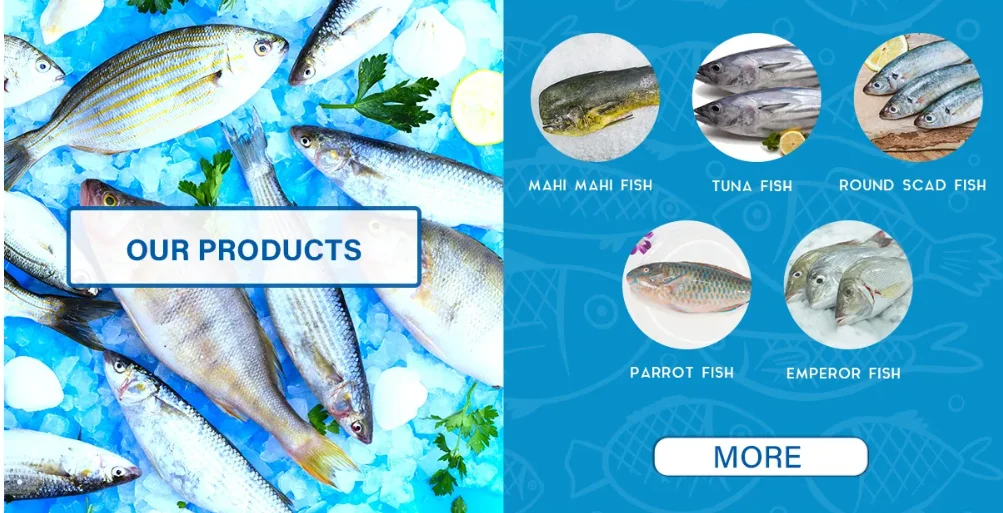 20kg Bulk Packaging Sliced Shape New Top Iqf Block Freezing Method ...