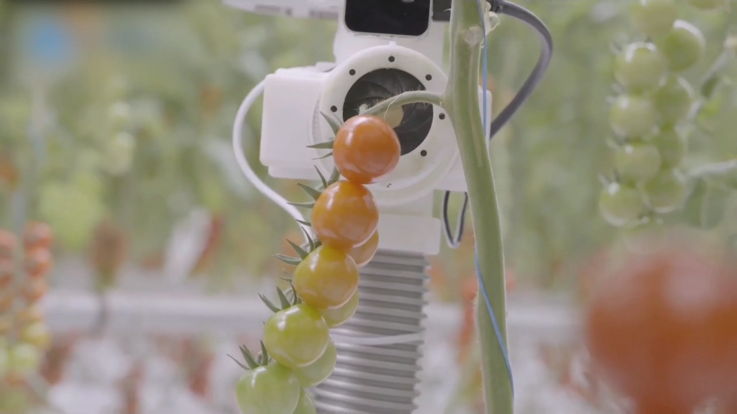 Industrial Robot Gripper Hitbot Efg-l 4-axis 6 Axis Robot Arm Robot ...