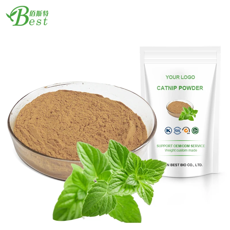 Best Price Catnip Plant Extract Powder / Nepeta Cataria Extract 10:1 ...