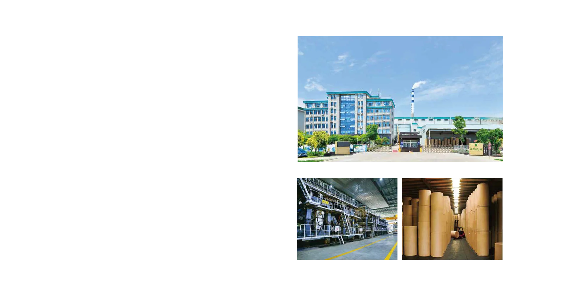 Company Overview - Forest Packing Group Co., Ltd.