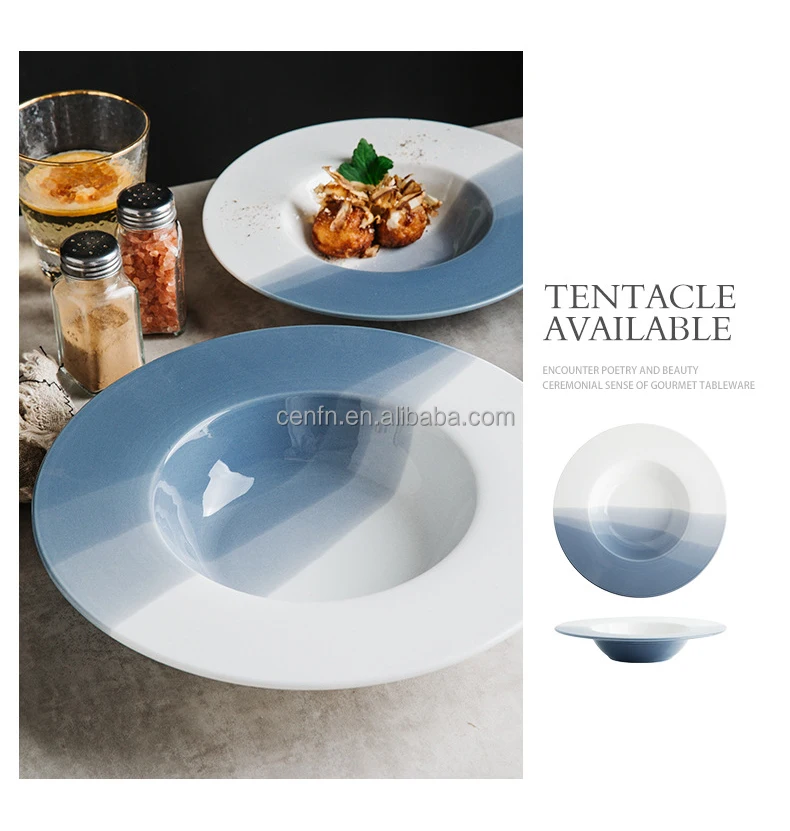 Two-color Gradient Porcelain Plate - Unique Design Ceramic