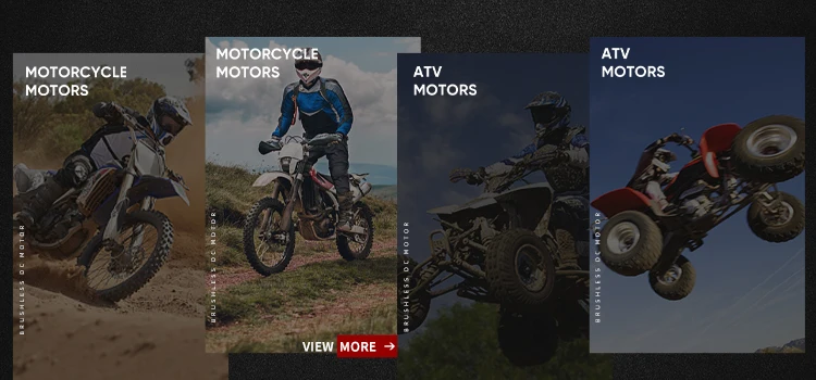 QS Motor E-Car 273 4000W - High Performance Electric Bike Motor