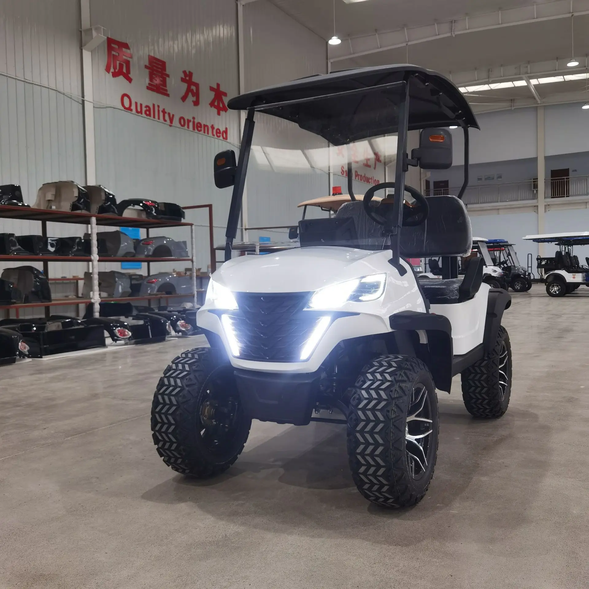 White 4 6 8 Seater Big Motor off-Road Legal Gas Golf Buggies Cart