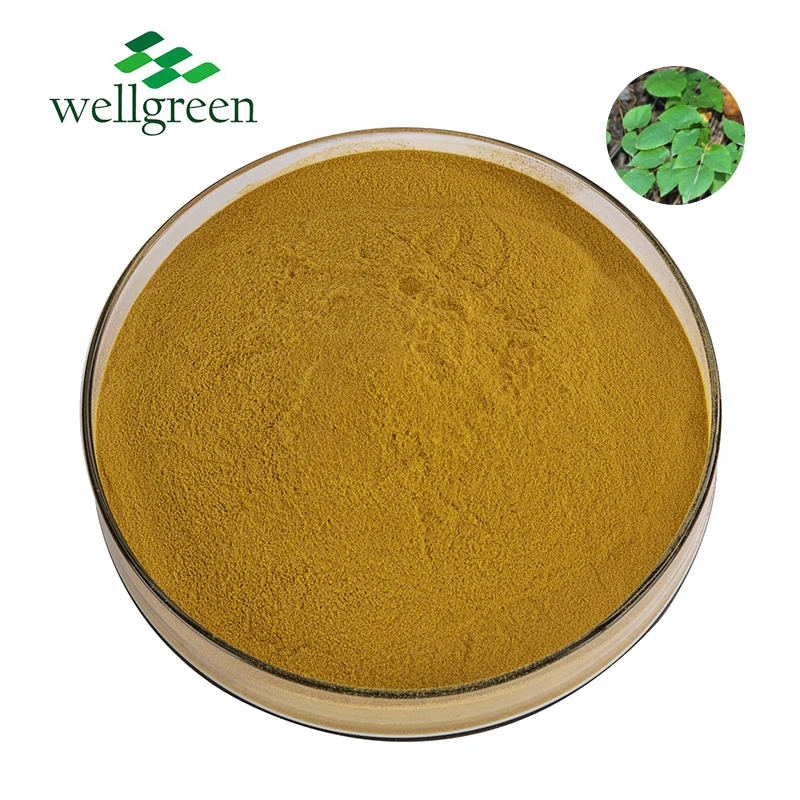 High Quality Healthcare Free Sample 98%Icariin Powder Epimedium Leaf ...