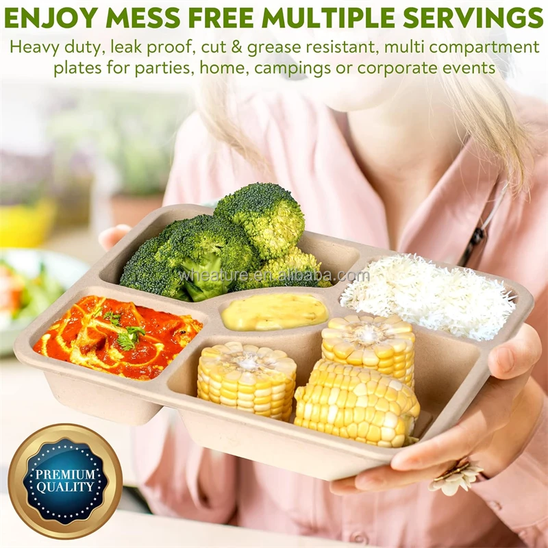 5 Compartment Microwavable Takeaway Meal Sugarcane Packaging Bagasse ...