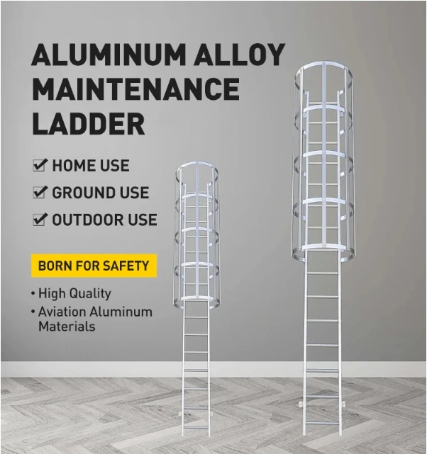 Industrial Outdoor Vertical Cage Ladders Aluminum Material Safety Cat ...